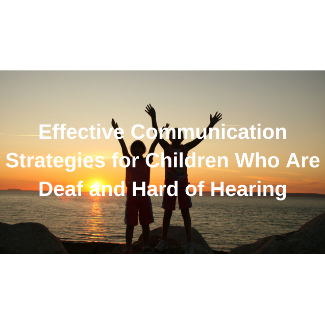 Using Lingraphica Speech-Generating Devices: 2.4 CEU Self-Study